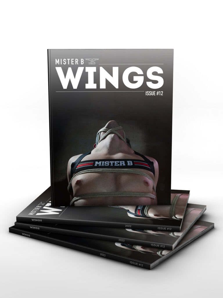 Mister B Wings magazine is looking for you – Mister B Wings