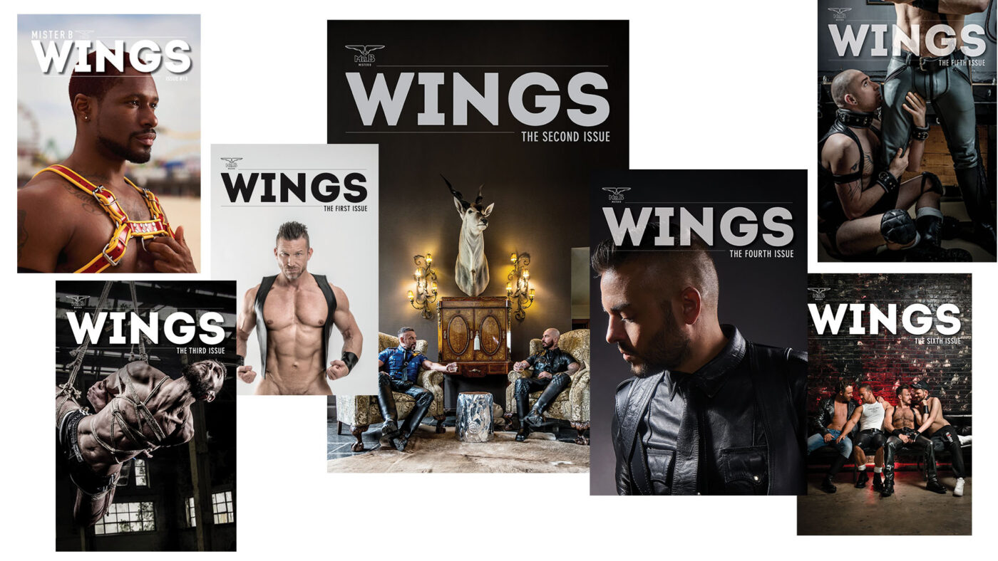 Back Issues – Mister B Wings